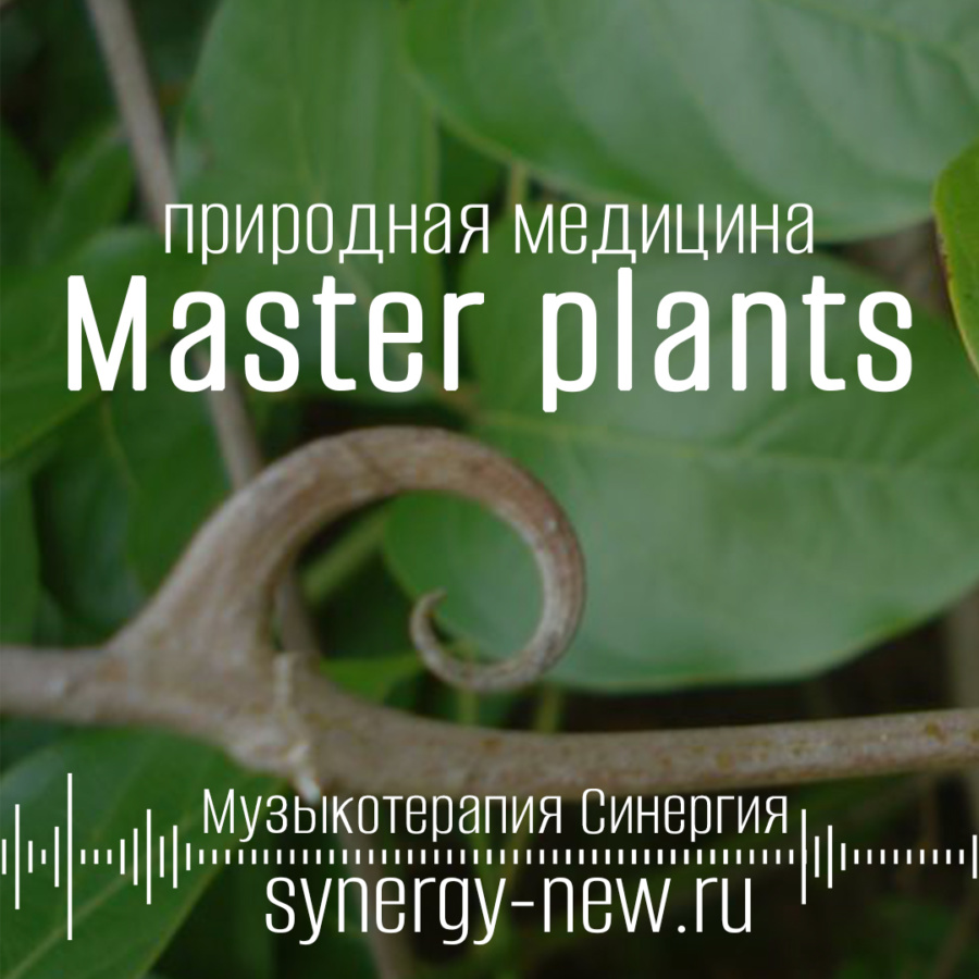 Master Plants - Синергия